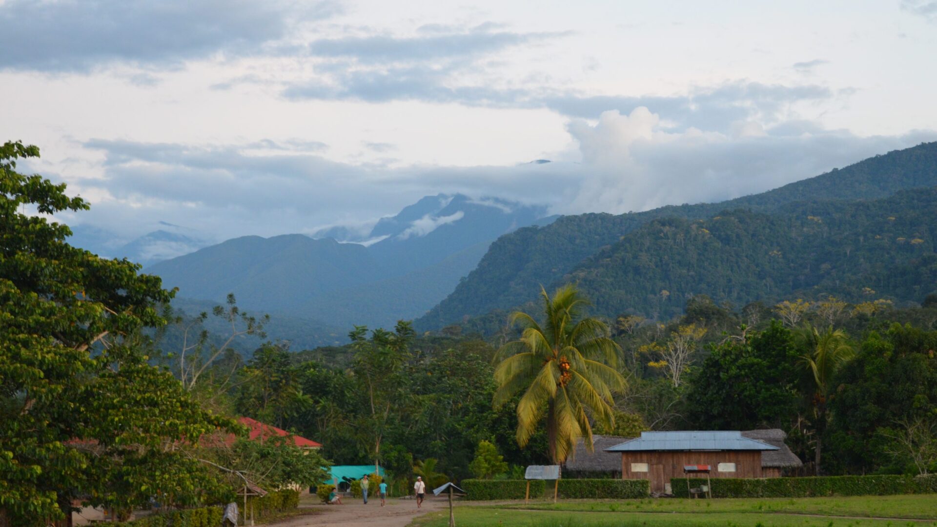 Radical Solutions – Cool Earth