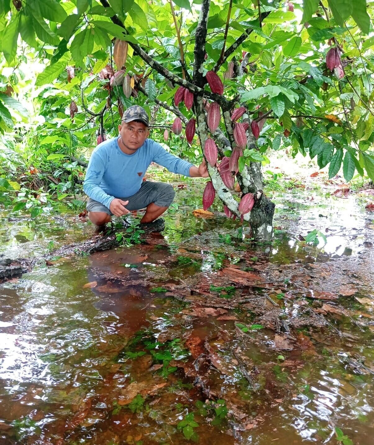 Flooding Devastates Communities in the Amazon – Cool Earth