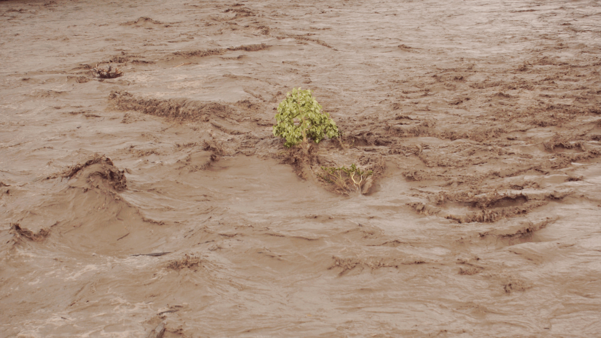Organisations to support – Emergency relief for the Pakistan flood disaster