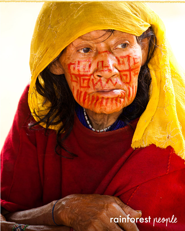 Rainforest Voices: The Rainforest Shaman – Cool Earth