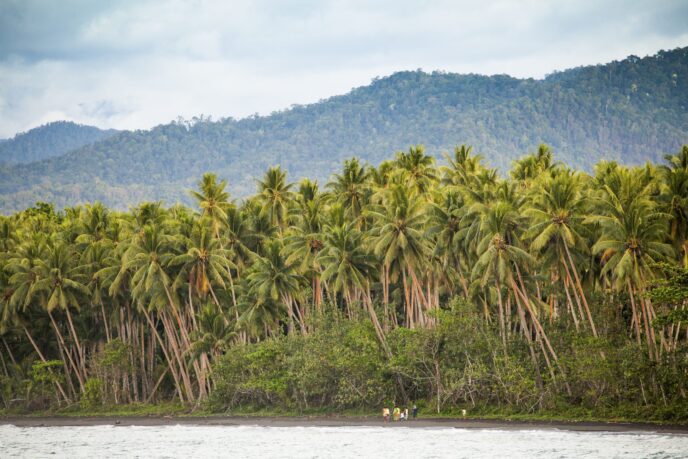 Why We Exist Cool Earth