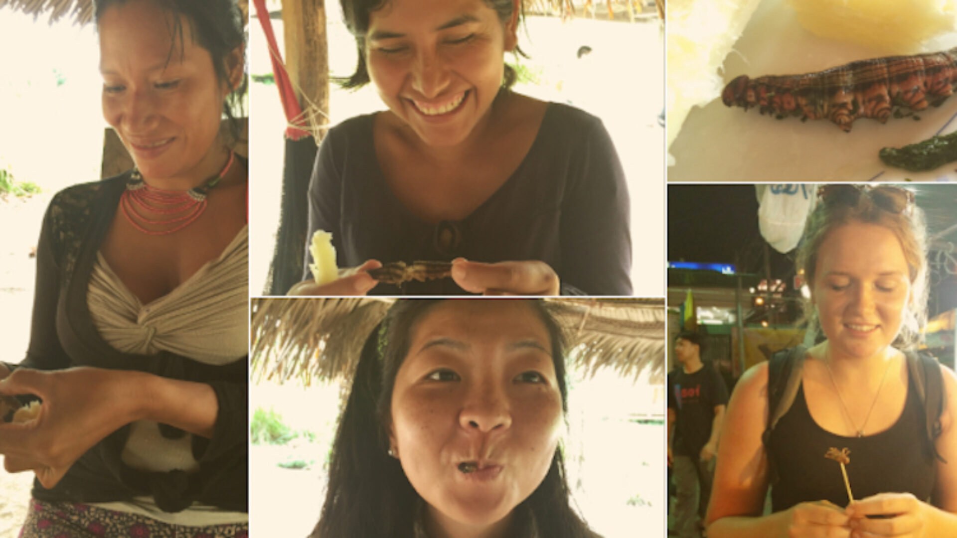 Guía de Ghoul Earth para bichos espeluznantes – Cool Earth