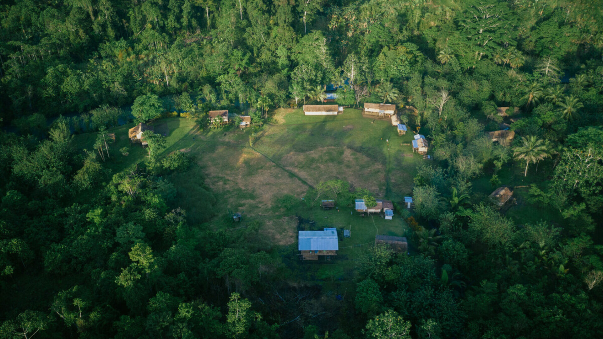 How one community is protecting the Papua New Guinea rainforest – Cool ...