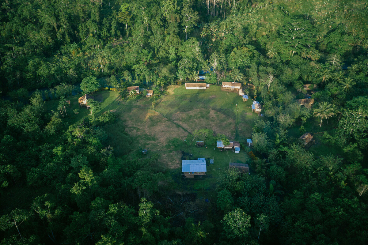 How one community is protecting the Papua New Guinea rainforest – Cool ...