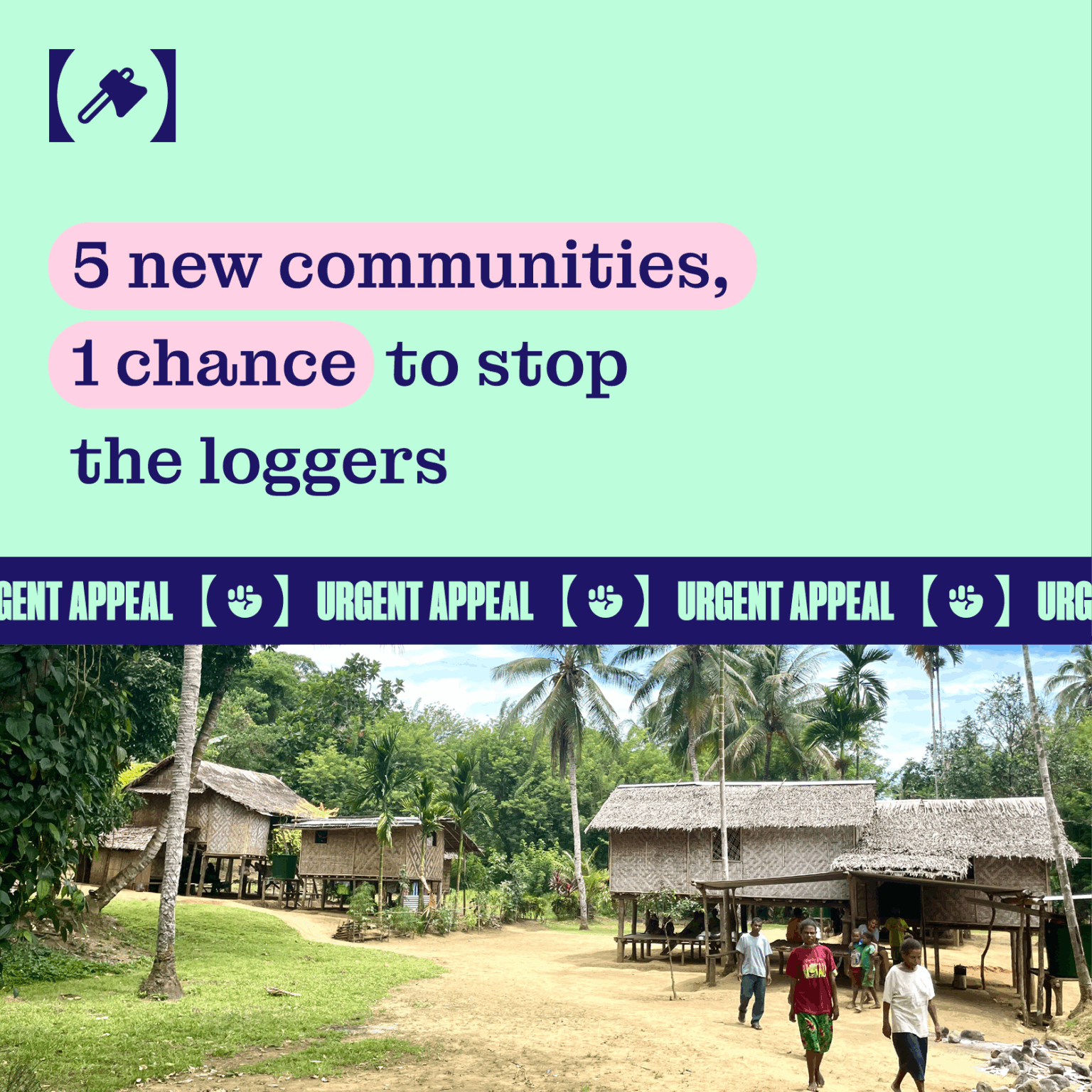 Urgent Appeal: Stop Logging in the Papua New Guinea Rainforest