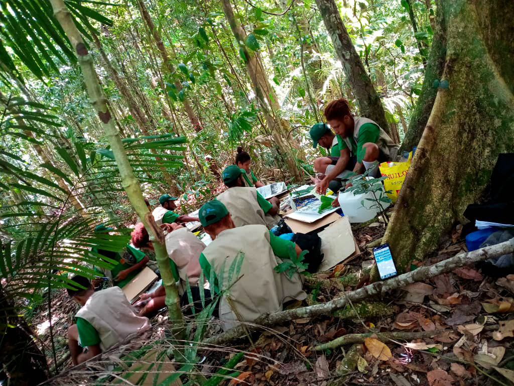 How do Local Communities use data to protect the rainforest? – Cool Earth